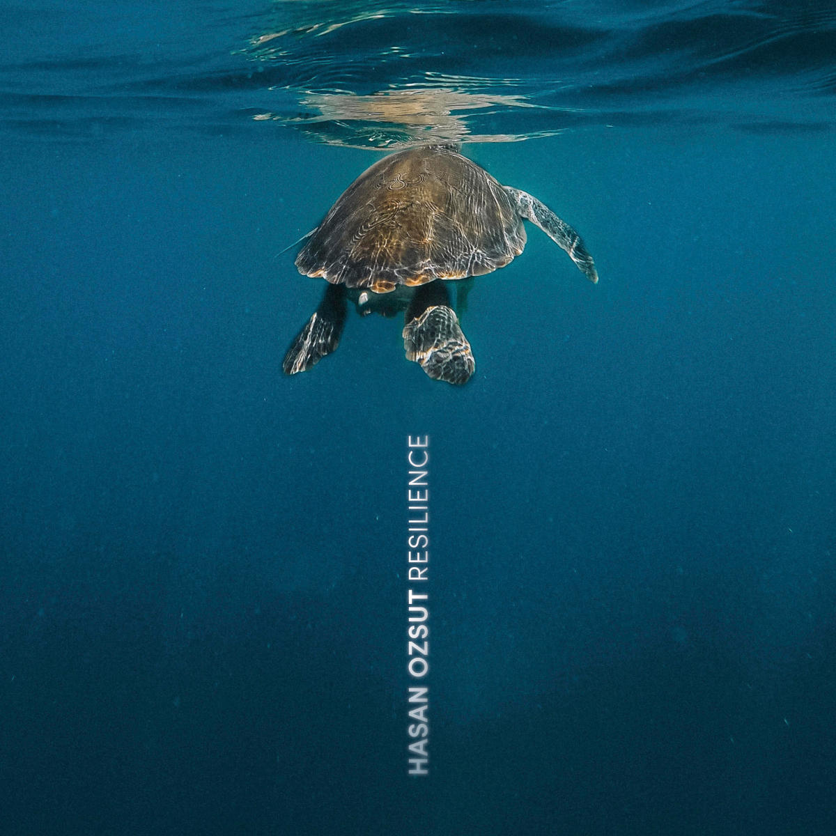 Album Releases | HASAN OZSUT